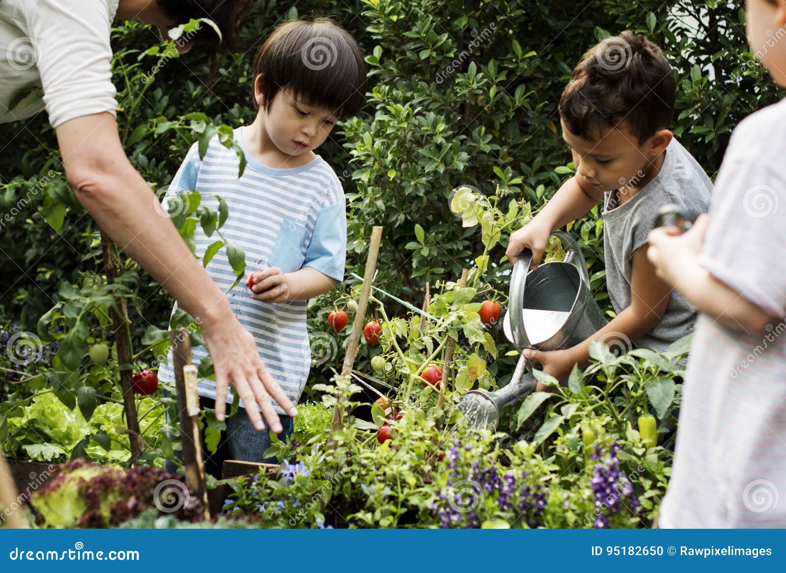 Kids Gardening Kit In A Backyard Garden Stock Photo | CartoonDealer.com ...