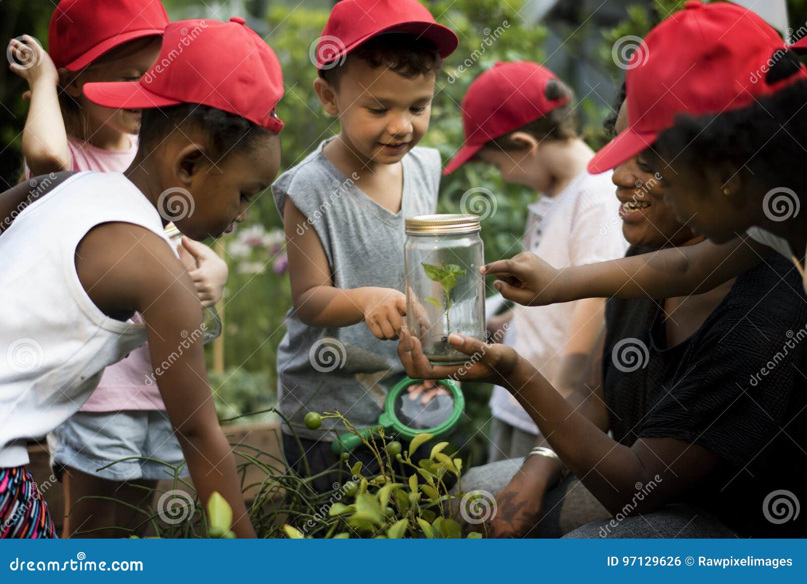 Teacher and Kids School Learning Ecology Gardening Stock Photo - Image ...