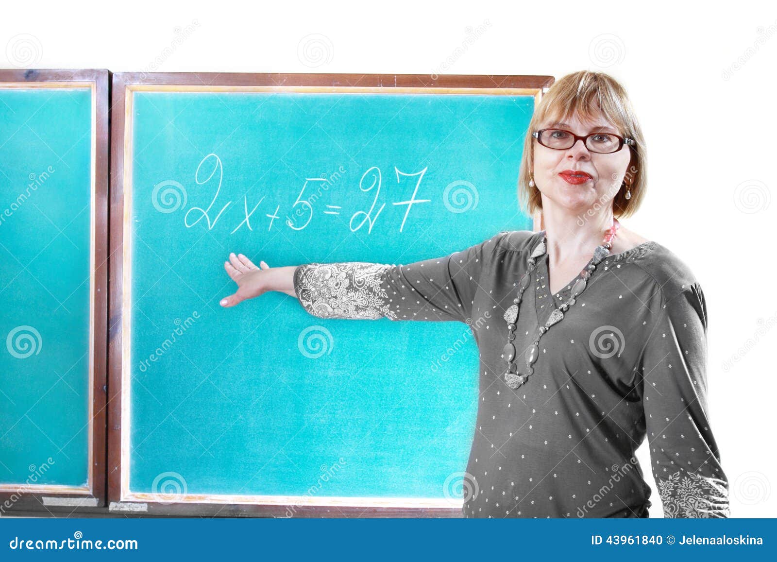Teacher stock photo. Image of blackboard, equation, adult - 43961840
