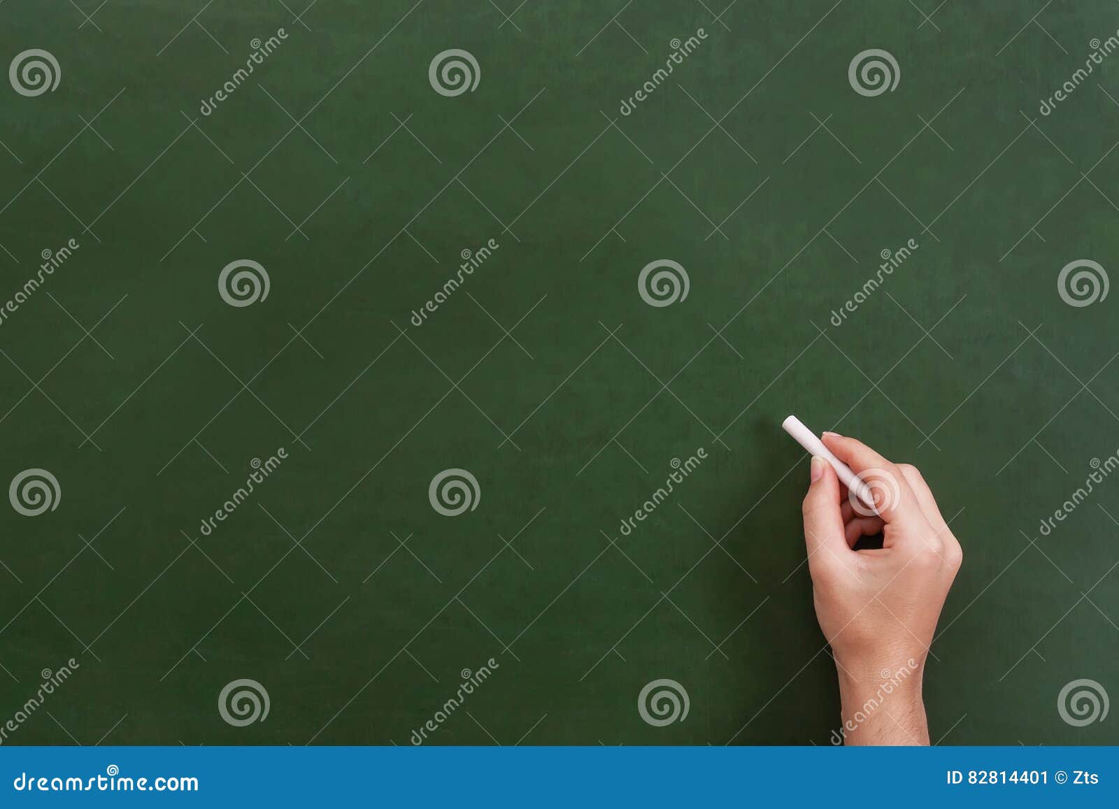 Teacher or Student Hand Holding a Chalk Stick Stock Image - Image of ...