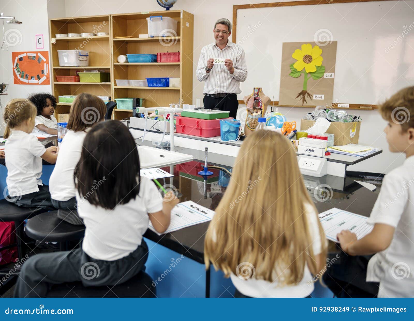 Teacher Teaching Flower Structure To Student Stock Image - Image of ...