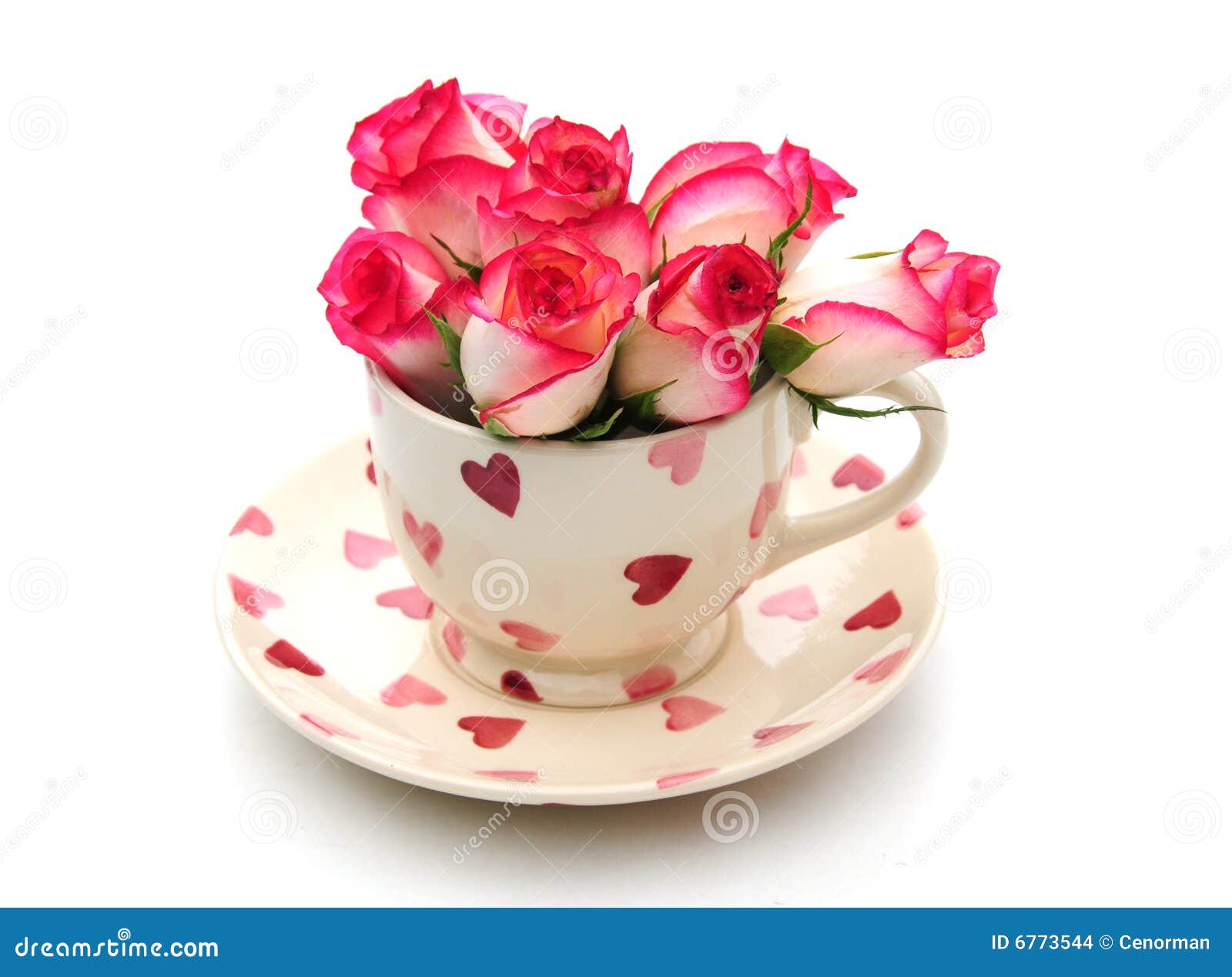 Teacup with roses stock photo. Image of hearts, wedding - 6773544