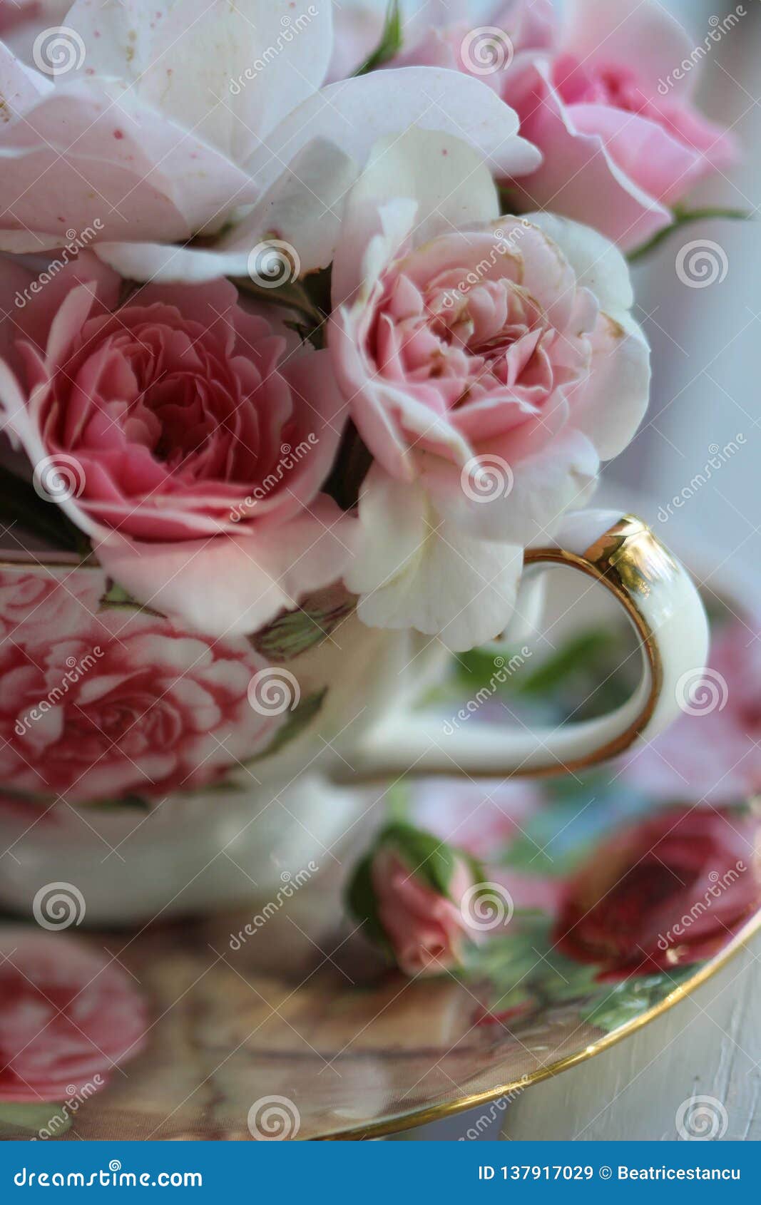 Teacup with Roses in the Garden Stock Image - Image of stilllife ...