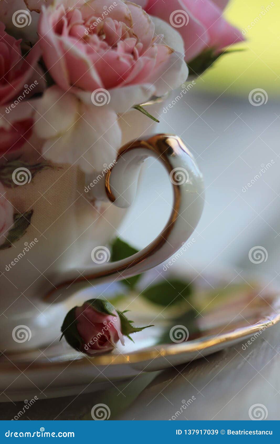 Teacup with Roses in the Garden Stock Image - Image of romantic ...