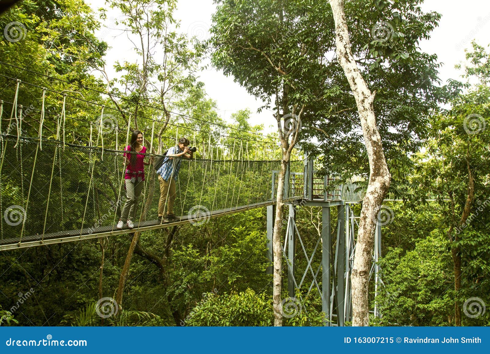 TEAK GALLERY TREE TOP WALK editorial image. Image of lining - 163007215