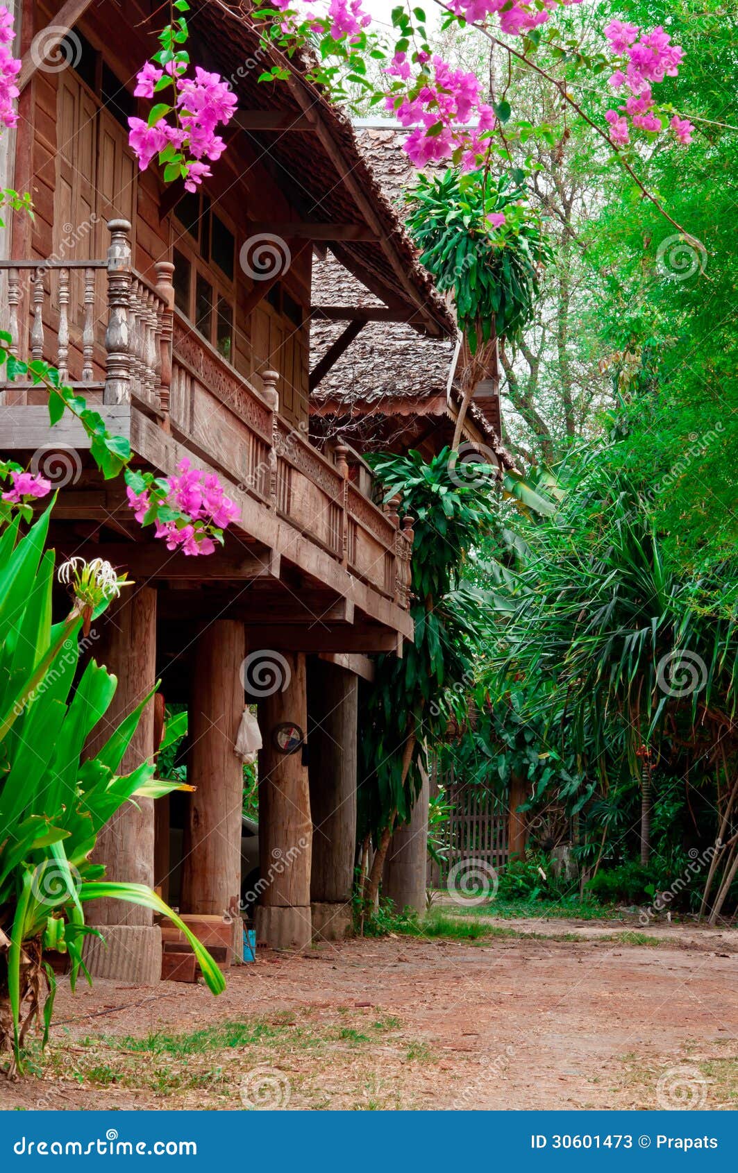 Teak house stock image. Image of architecture, forest - 30601473