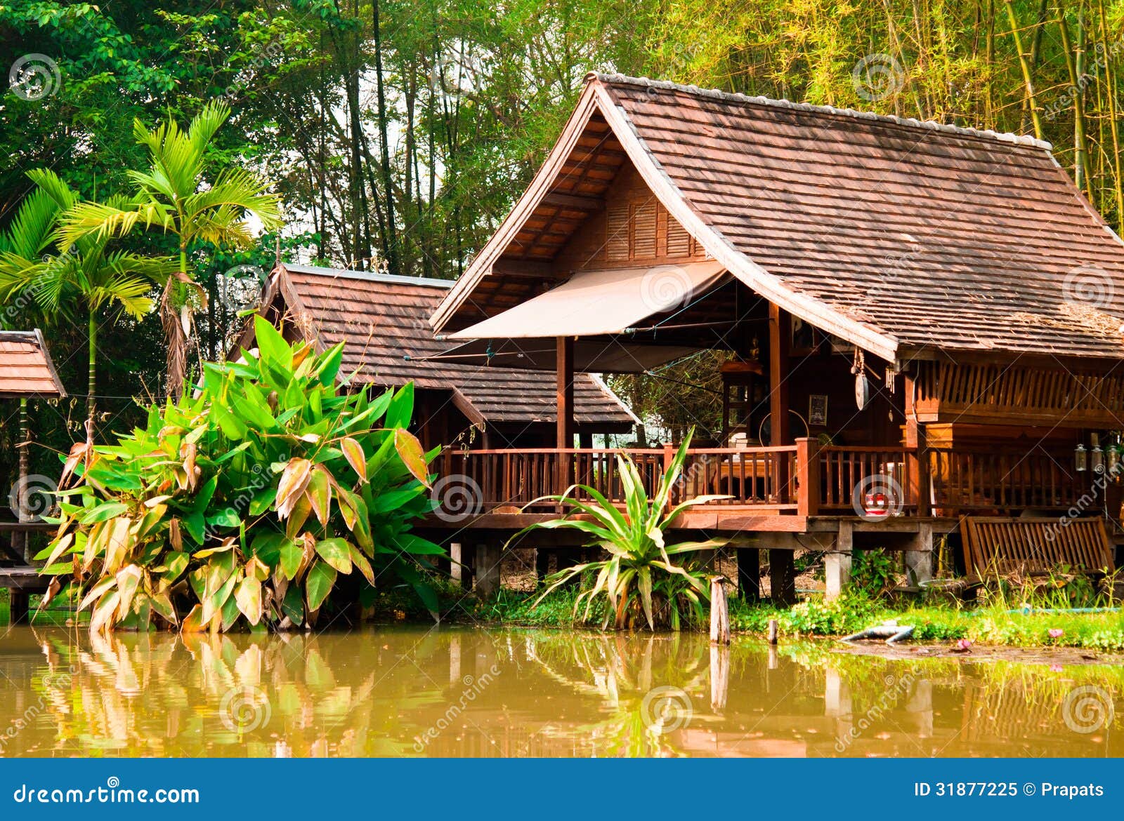 Teak house stock image. Image of green, landscape, lifestyle - 31877225