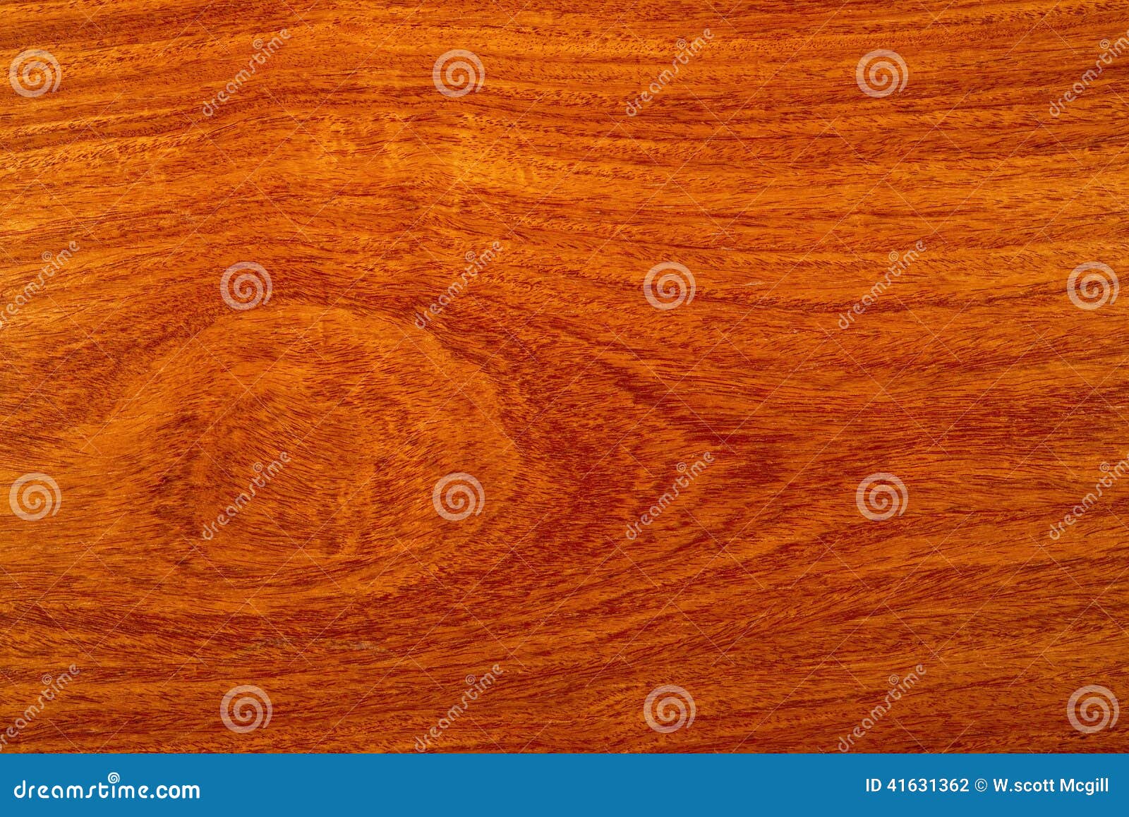Teak Wood Background stock photo. Image of tropical, backdrop - 41631362