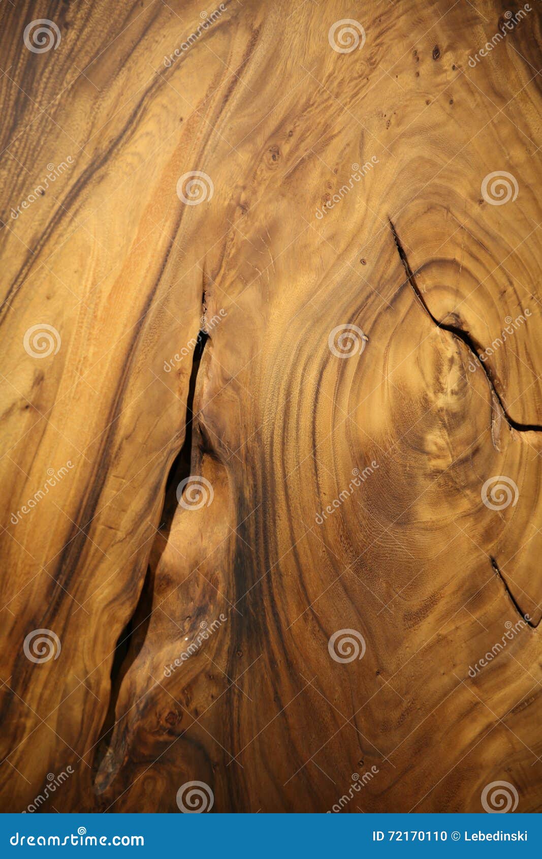 Teak wood stock photo. Image of architecture, natural - 72170110