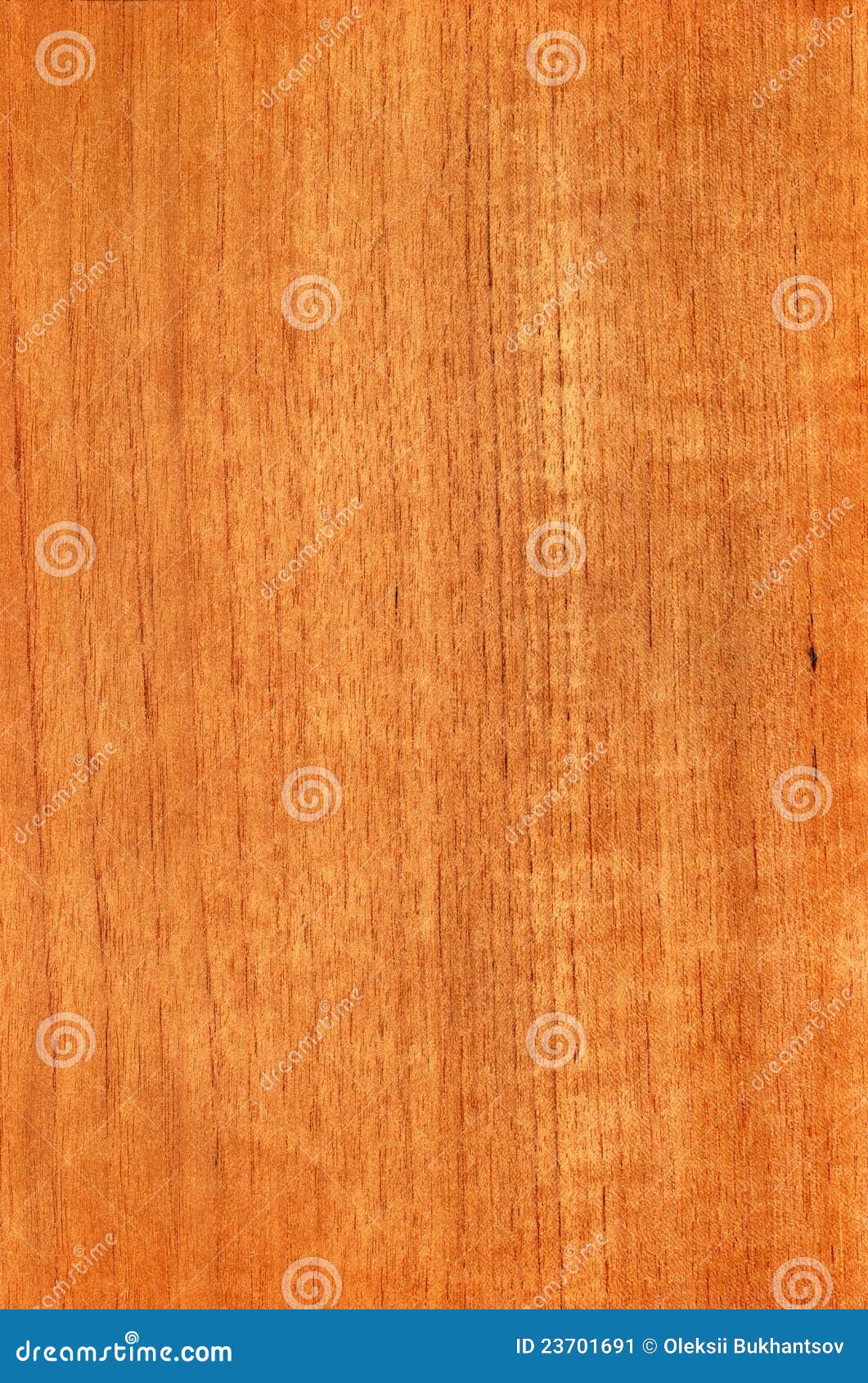 Teak (wood texture) stock image. Image of macro, lines - 23701691