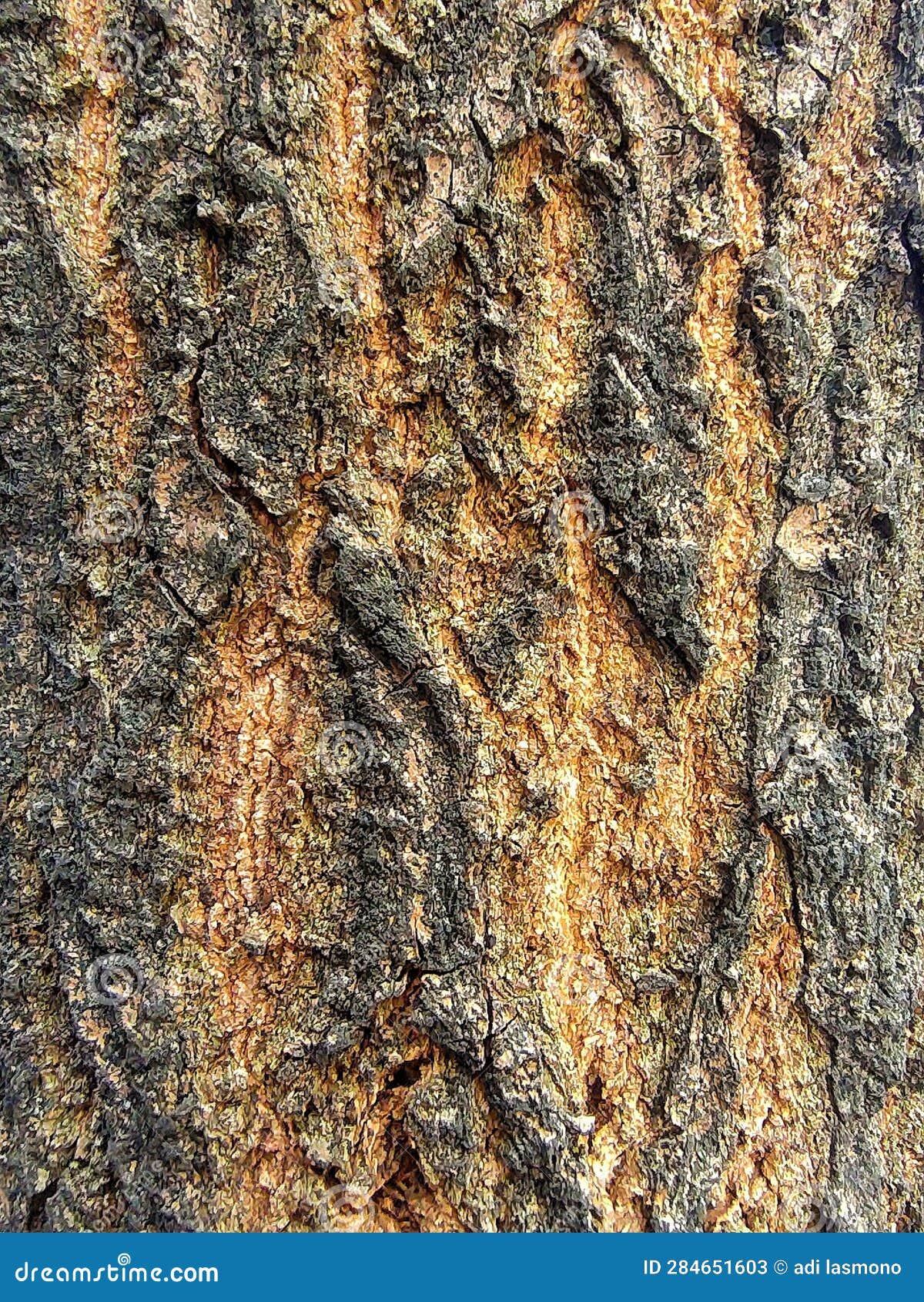 Bark j stock image. Image of wood, skin, experience - 284651603