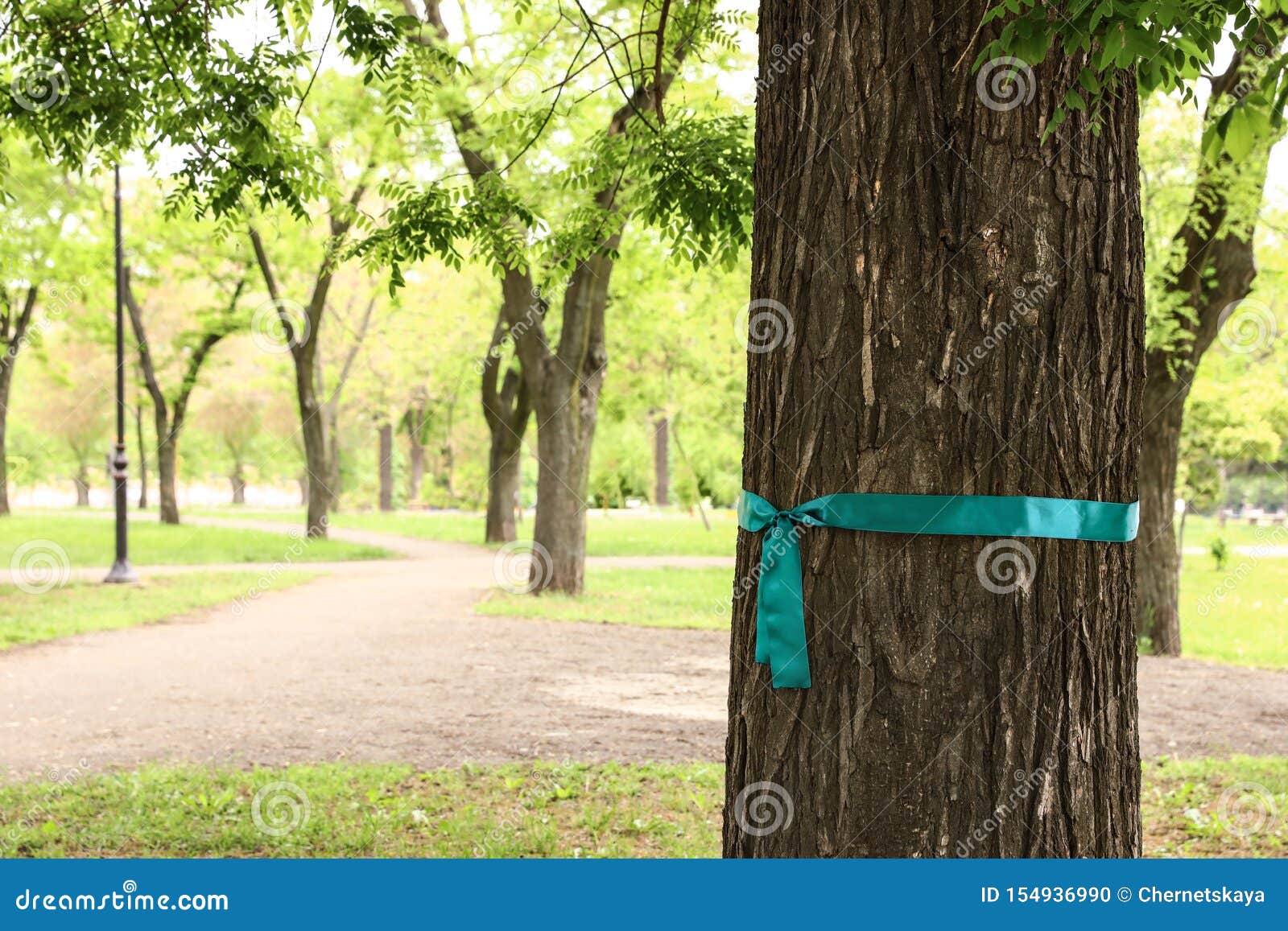 Teal Awareness Ribbon Tied on Tree in Park Stock Photo - Image of care ...
