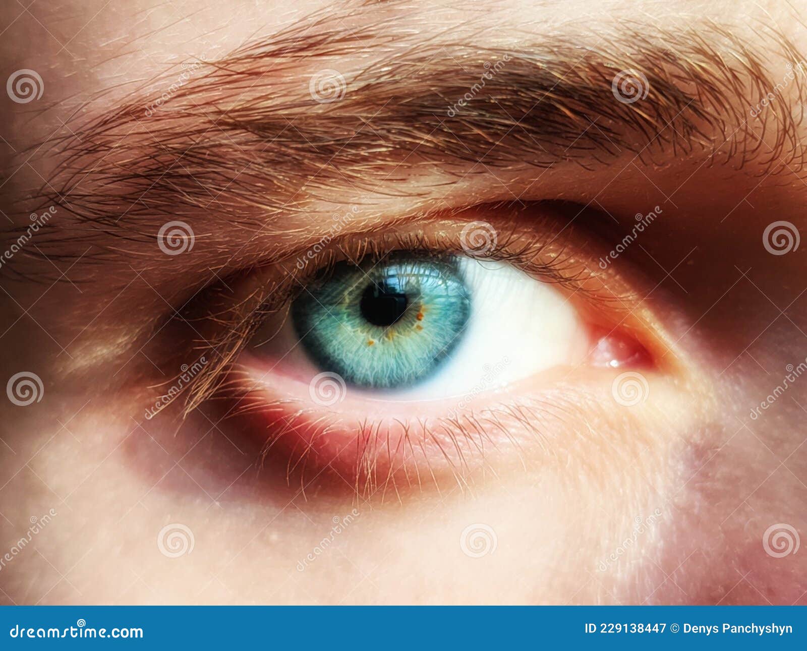 Teal blue eye stock image. Image of teal, eyebrow, eyelash - 229138447