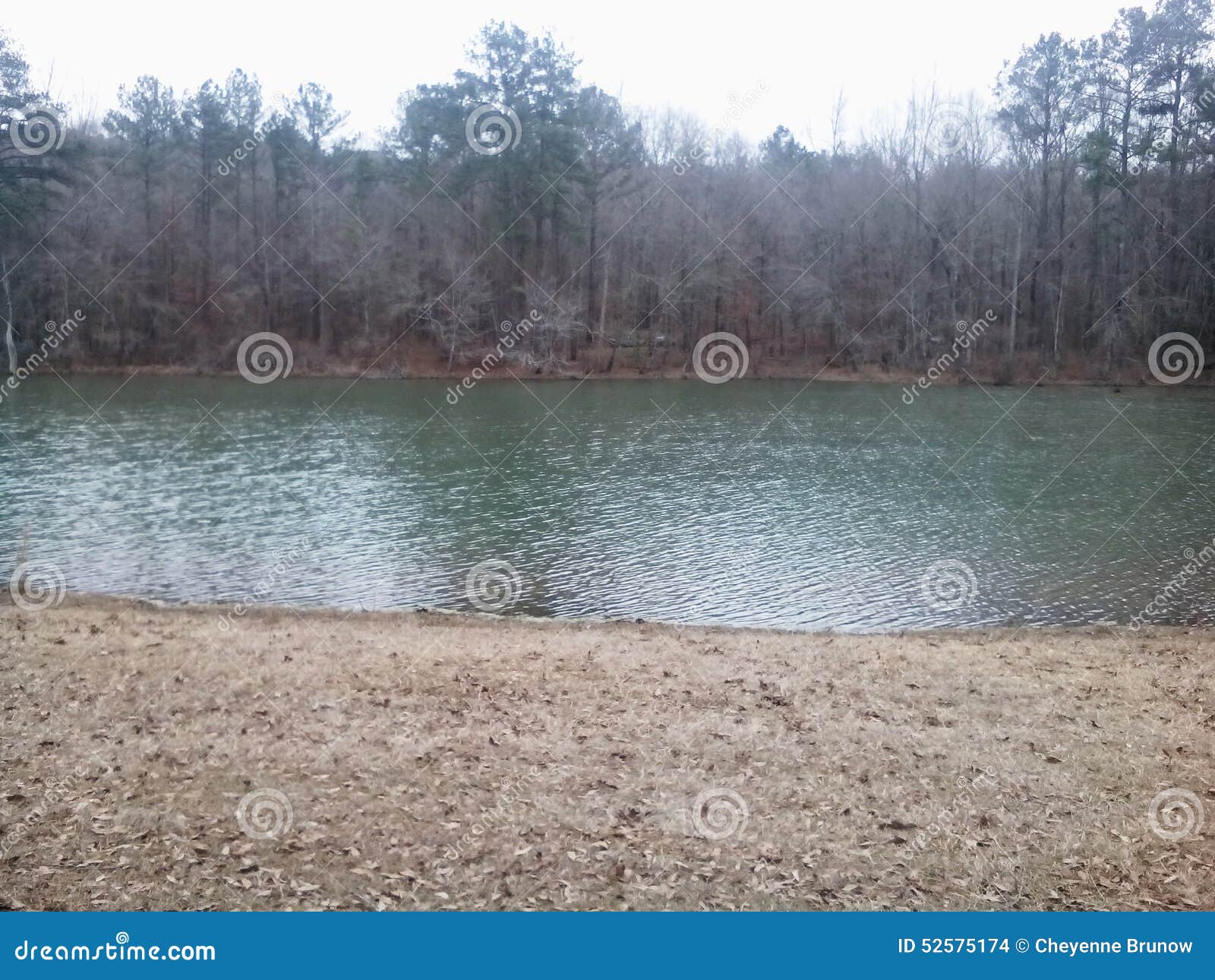 The teal lake stock photo. Image of lake, turns, teal - 52575174