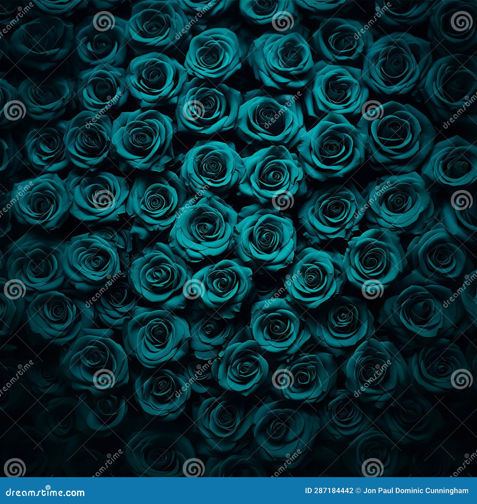 Teal Turquoise Roses Pattern Background Texture Illustration Stock ...