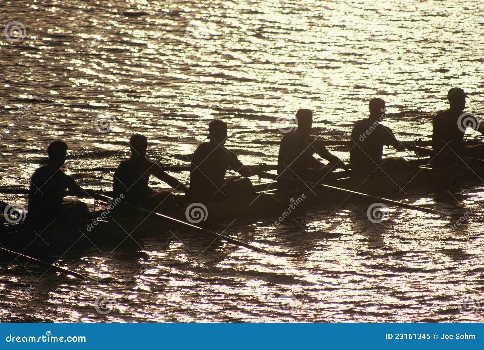 Team stock image. Image of american, photograph, rower - 23161345