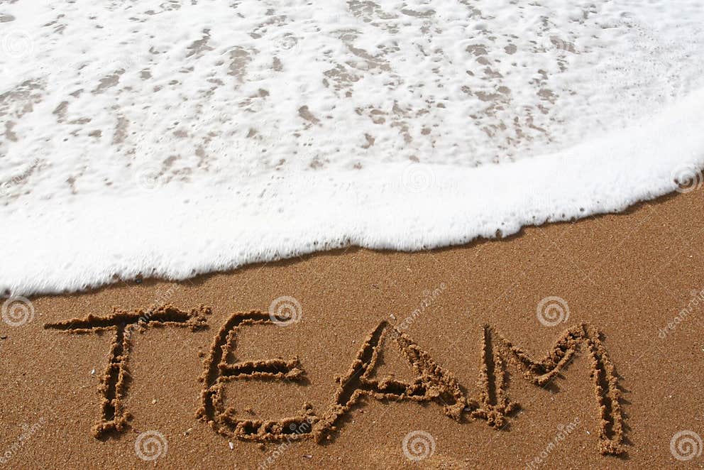 Team stock photo. Image of beach, water, nature, group - 717082