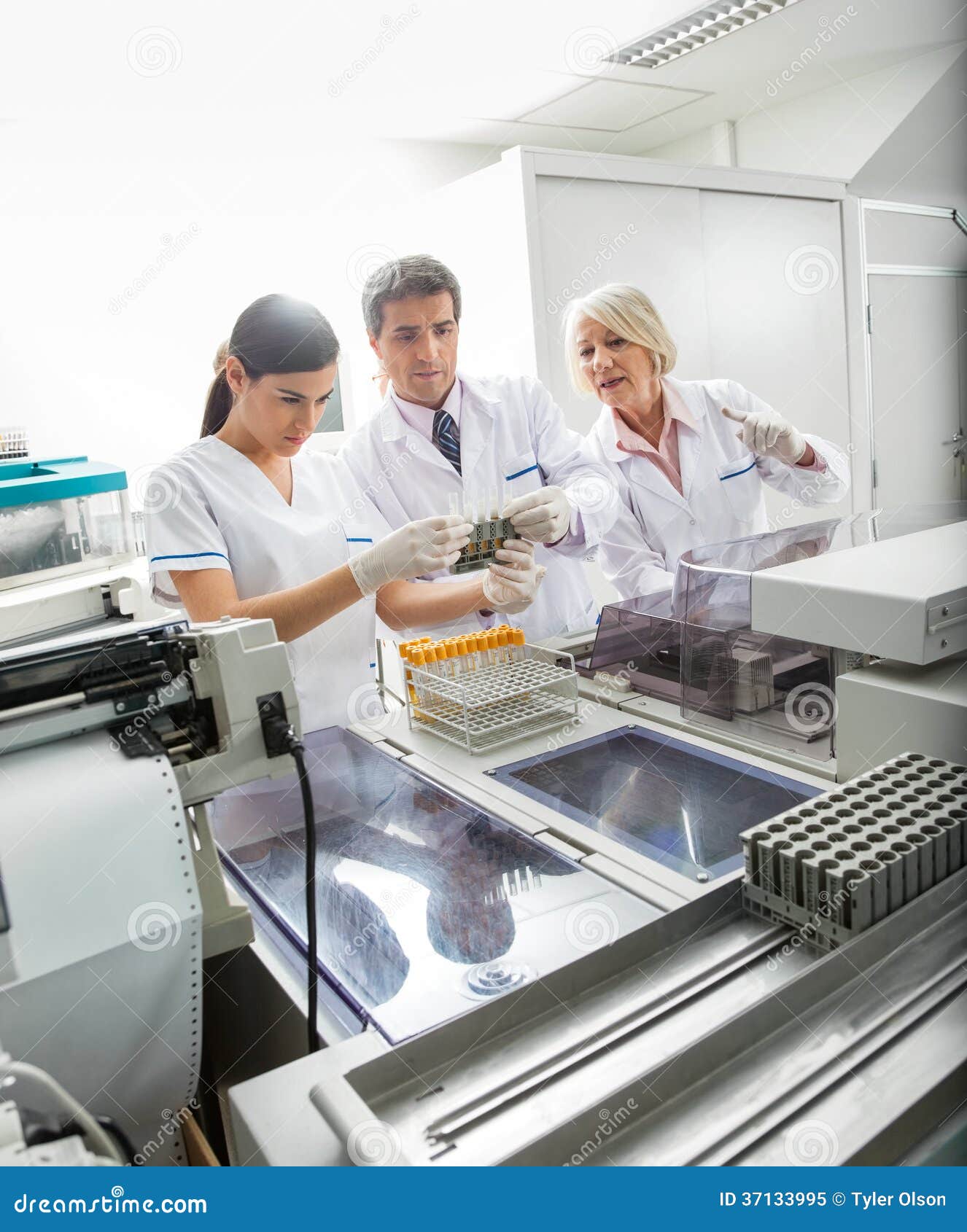 Team Analyzing Samples in Laboratory Imagem de Stock - Imagem de ...