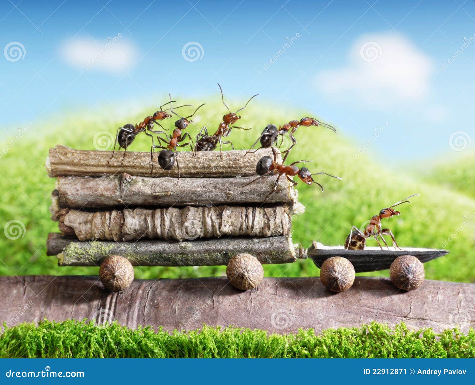 Team Of Ants Work With Log, Teamwork Royalty-Free Stock Photo ...