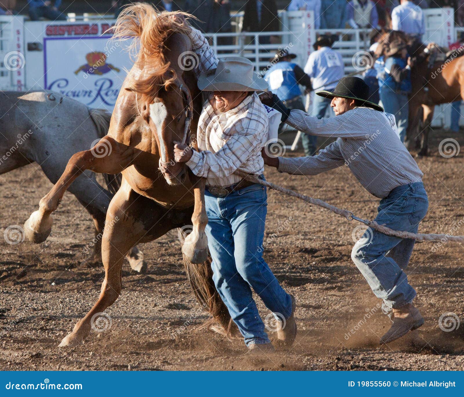Team Bronc Riding - Sisters, Oregon Rodeo 2011 Editorial Image - Image ...