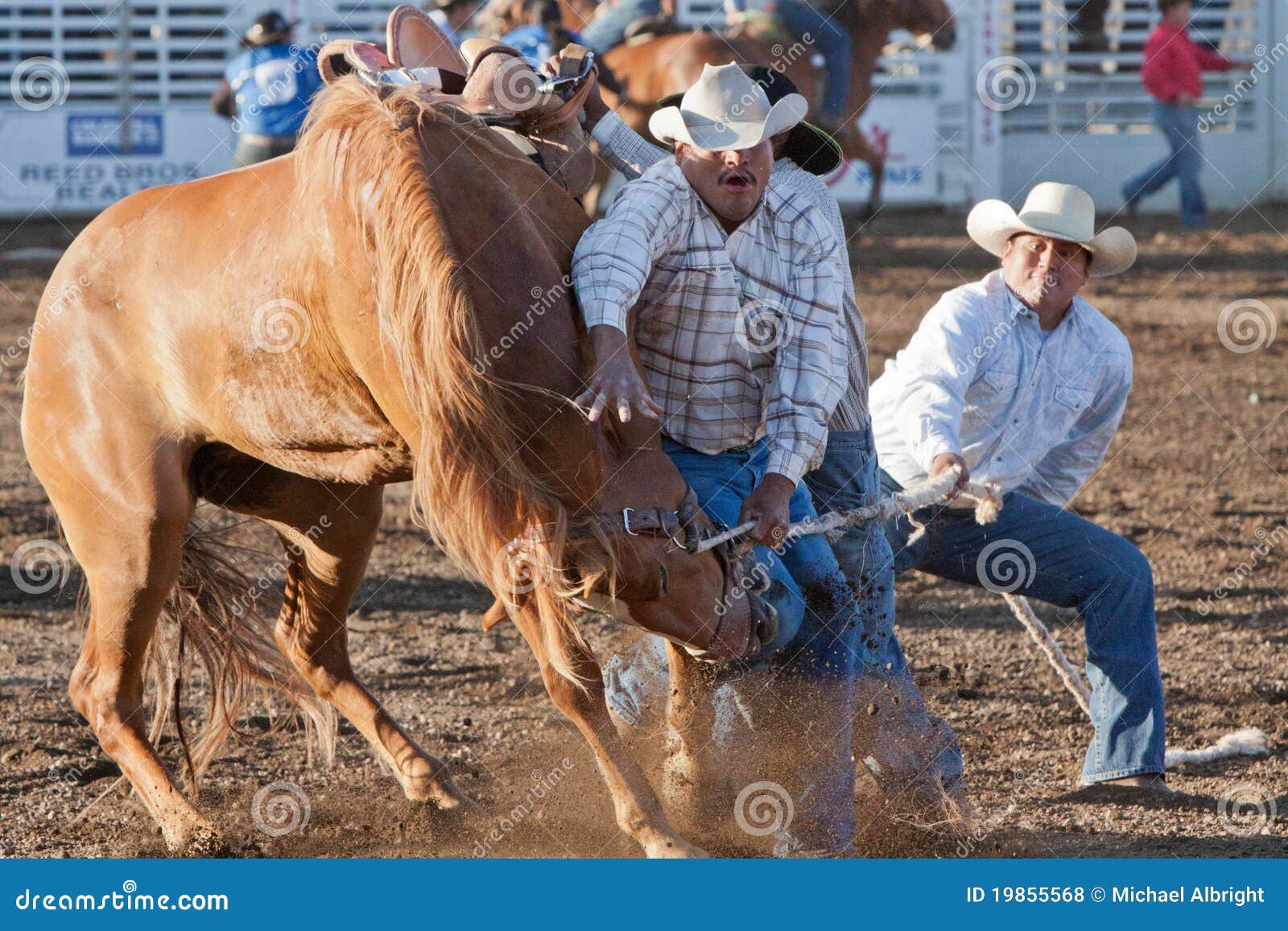 Team Bronc Riding - Sisters, Oregon Rodeo 2011 Editorial Stock Photo ...