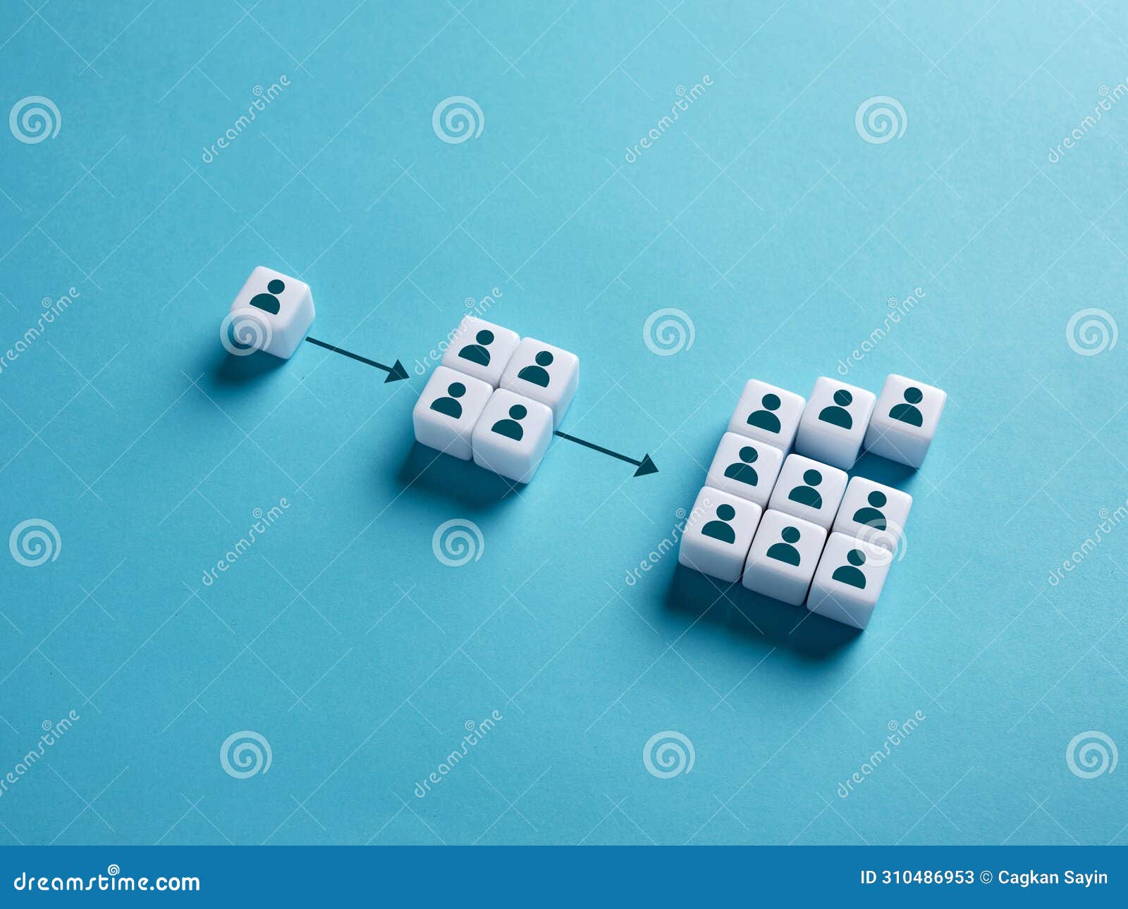 Growth At The Base Of A Tree Royalty-Free Stock Photography ...