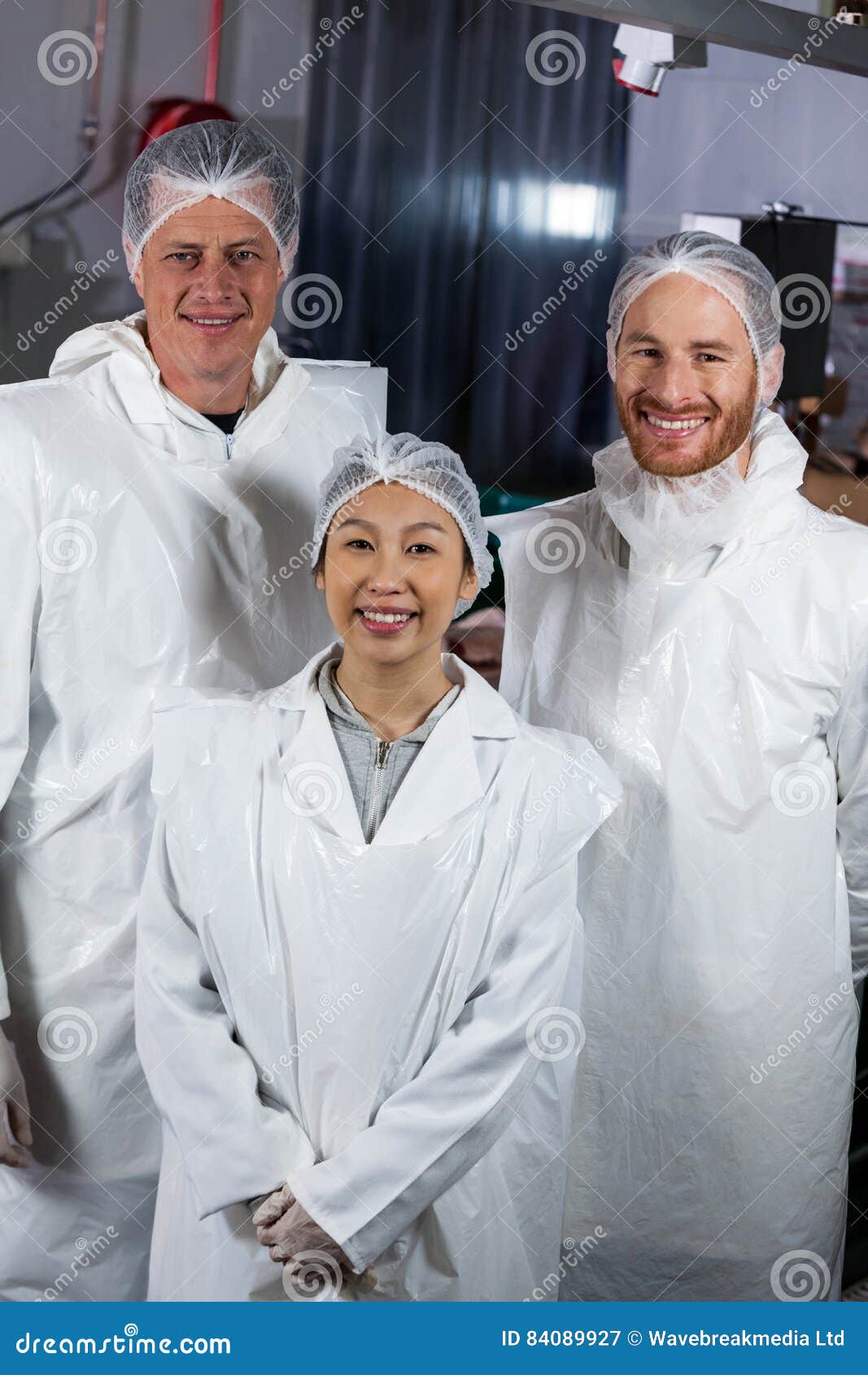 Team of Butcher Standing in Meat Factory Stock Image - Image of adult ...