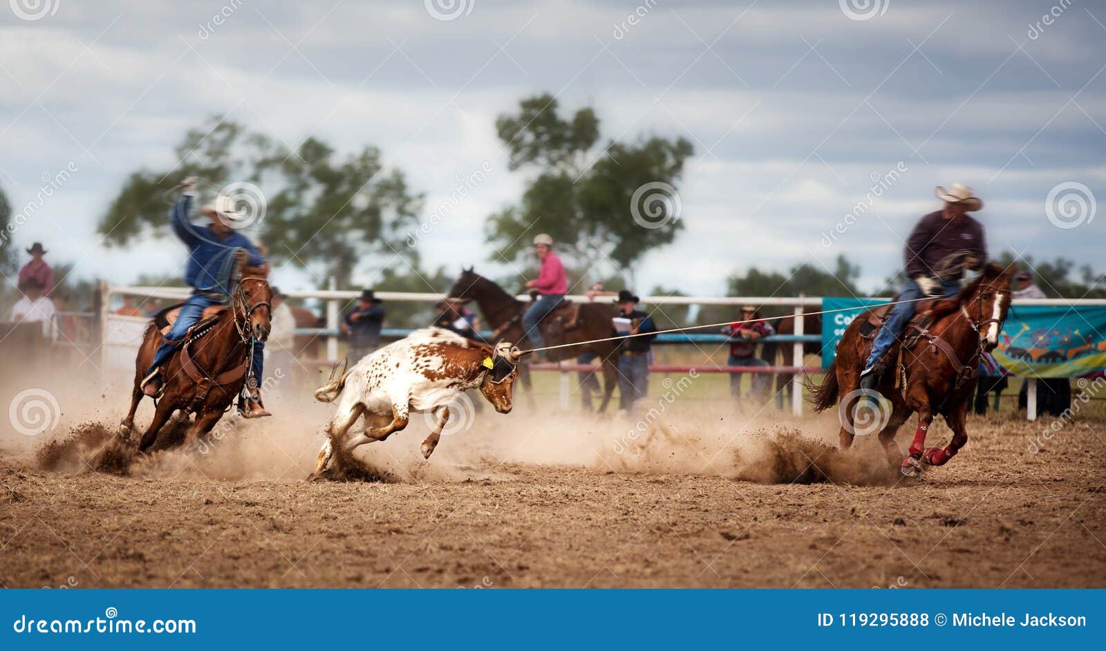 Team Calf Roping at Ein Land-Rodeo Redaktionelles Stockfoto - Bild von ...