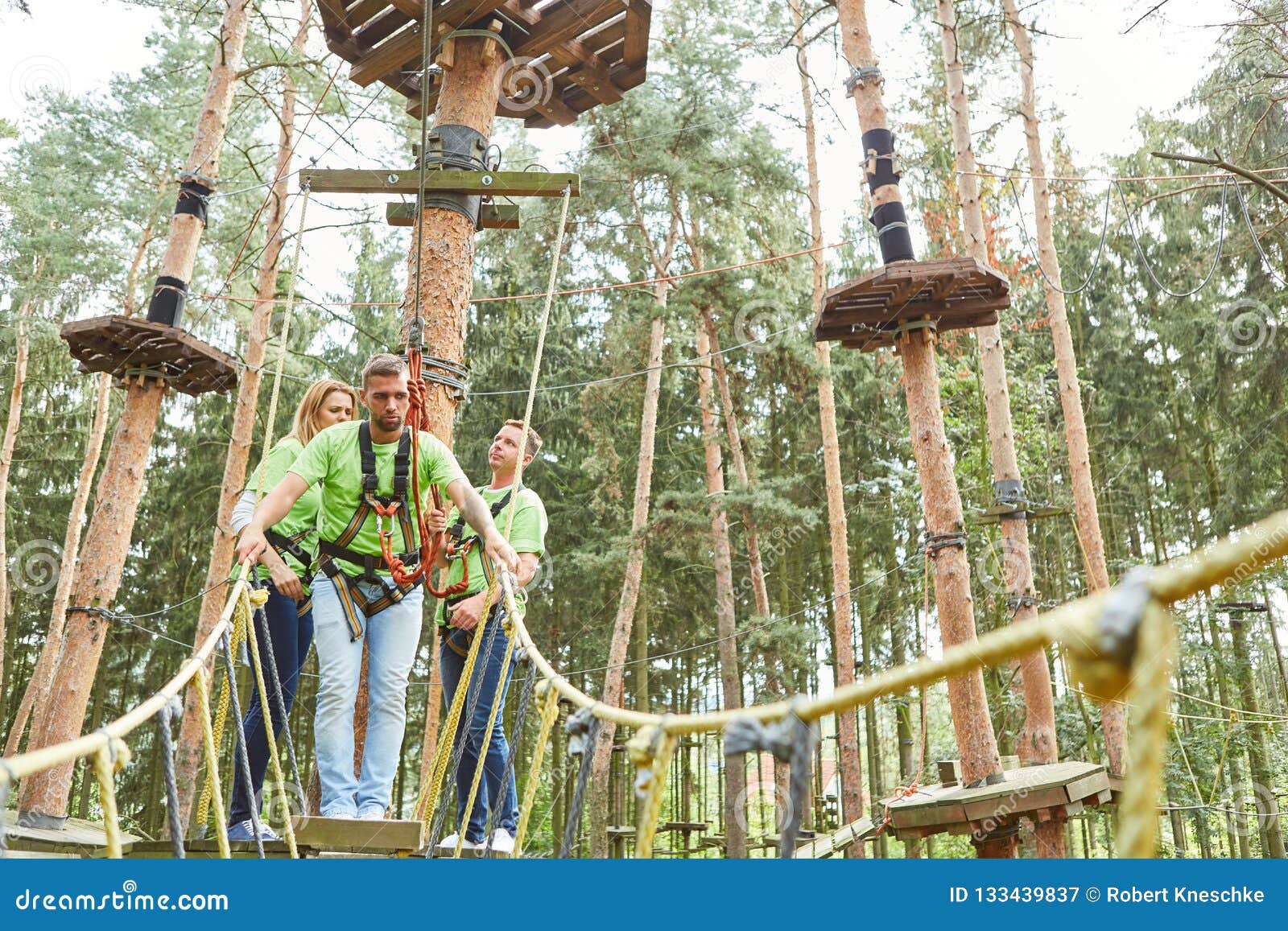 Team Climbing in Front of a Bridge in the High Ropes Course Stock Image ...