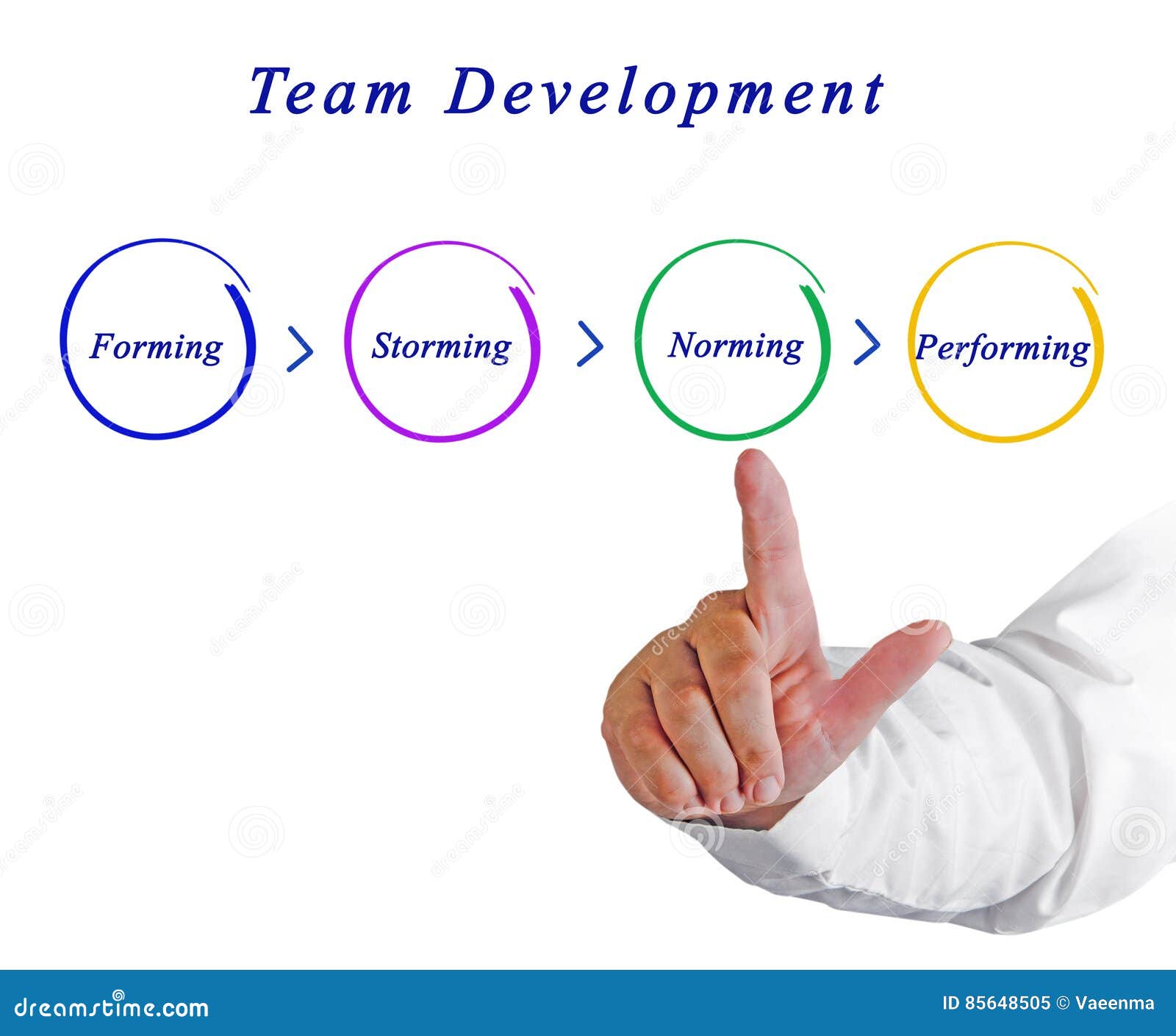 Team Development immagine stock. Immagine di mano, processo - 85648505
