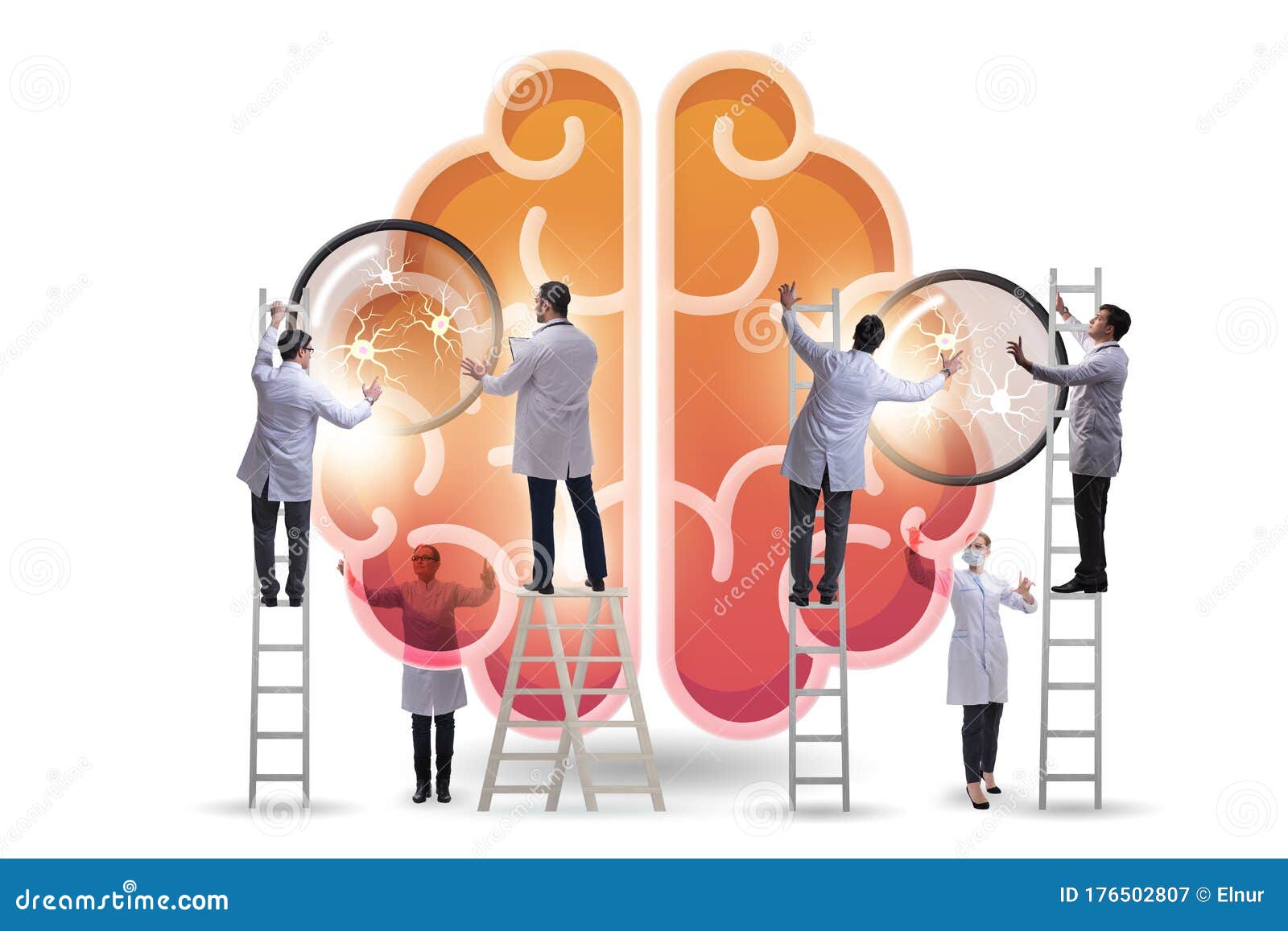 The Team of Doctors Examining Human Brain Stock Image - Image of ...