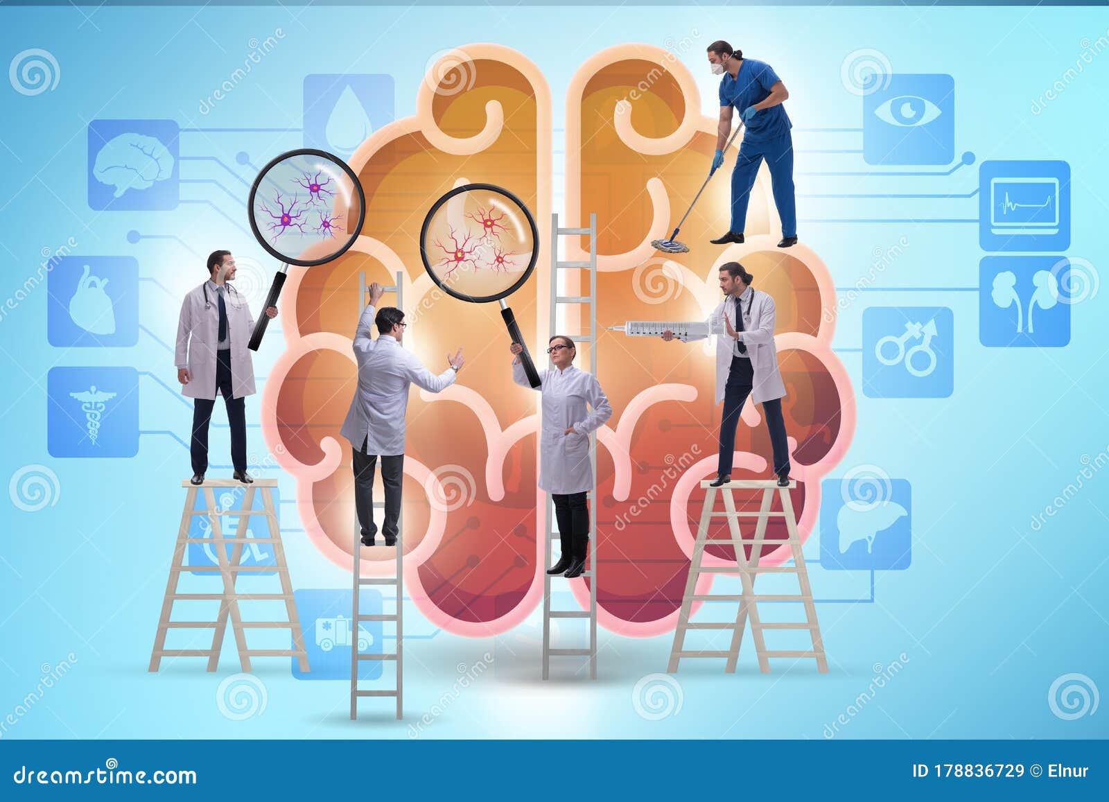 The Team of Doctors Examining Human Brain Stock Image - Image of ...