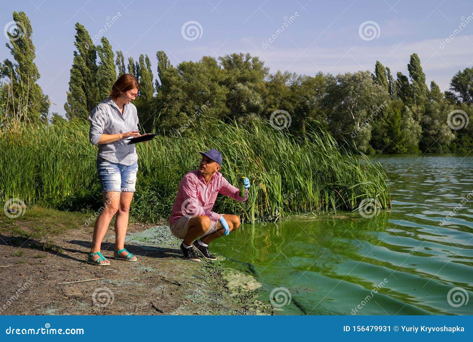 Two Ecologists Take Sample Of Green Algae On River Bank And Enter Data ...