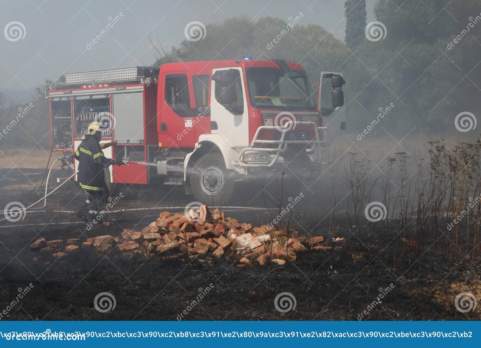 A Team of Firefighters Extinguished a Fire Near the Southern Ring Road ...