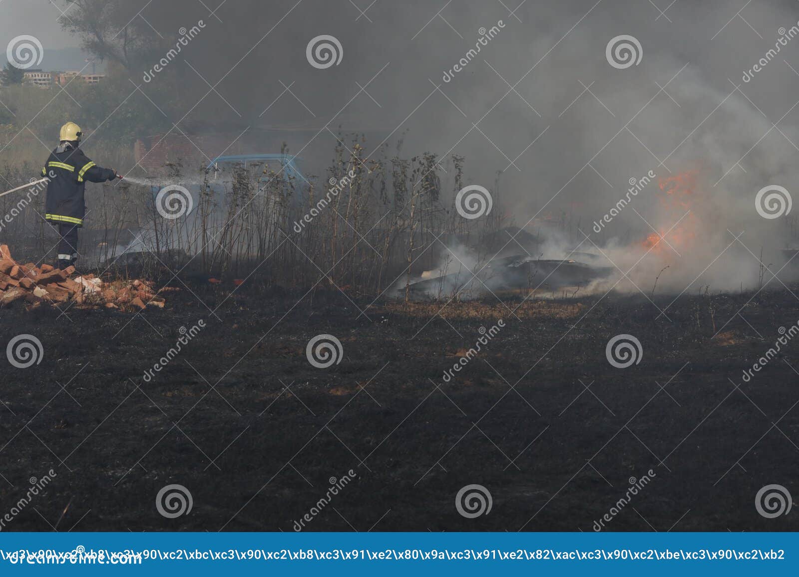 A Team of Firefighters Extinguished a Fire Near the Southern Ring Road ...