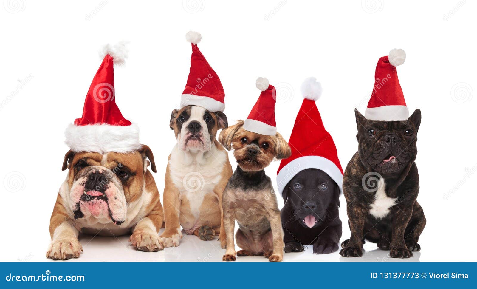 Cute Santa Claus In Sack Stock Photo | CartoonDealer.com #28331508