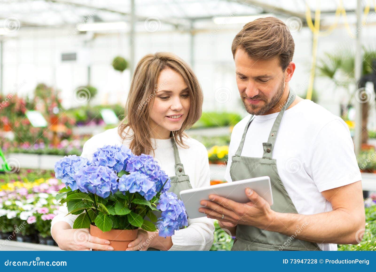 Team of Florist Working Together at the Plants Nursery Stock Photo ...
