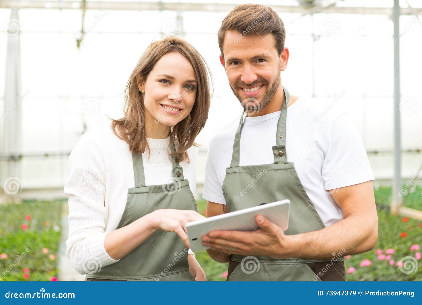 Team of Florist Working Together at the Plants Nursery Stock Image ...