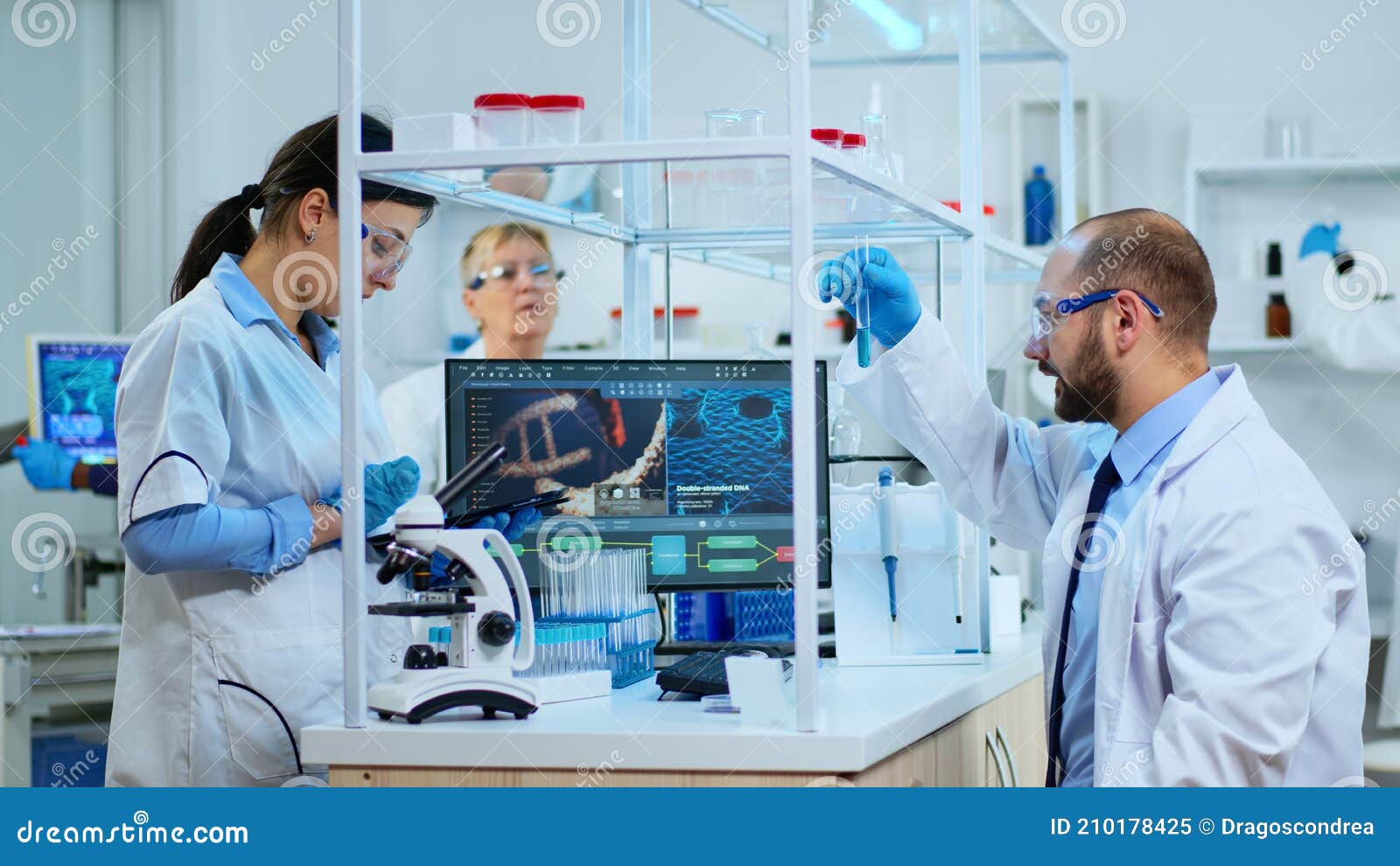 Team of Medical Researcher Conducting Experiments Using Test Tubes ...