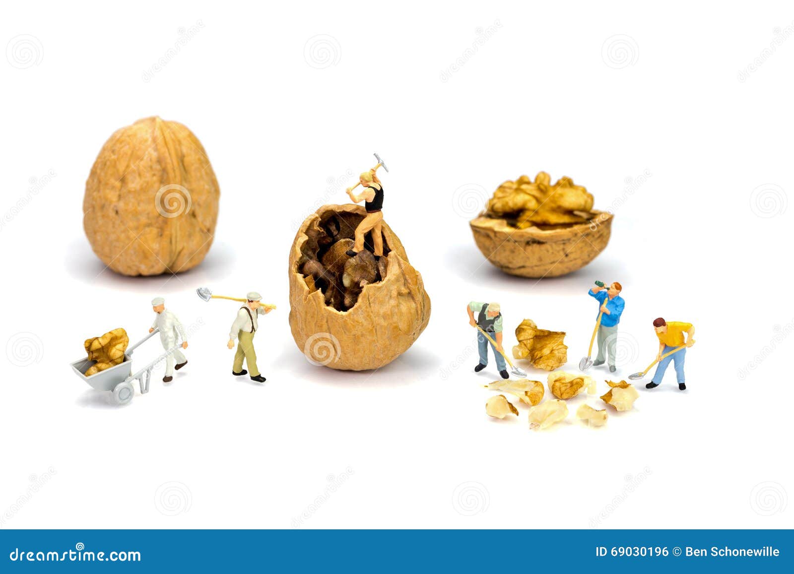 Miniature Of Human Intestine With The Symbol Of Poo Royalty-Free Stock ...