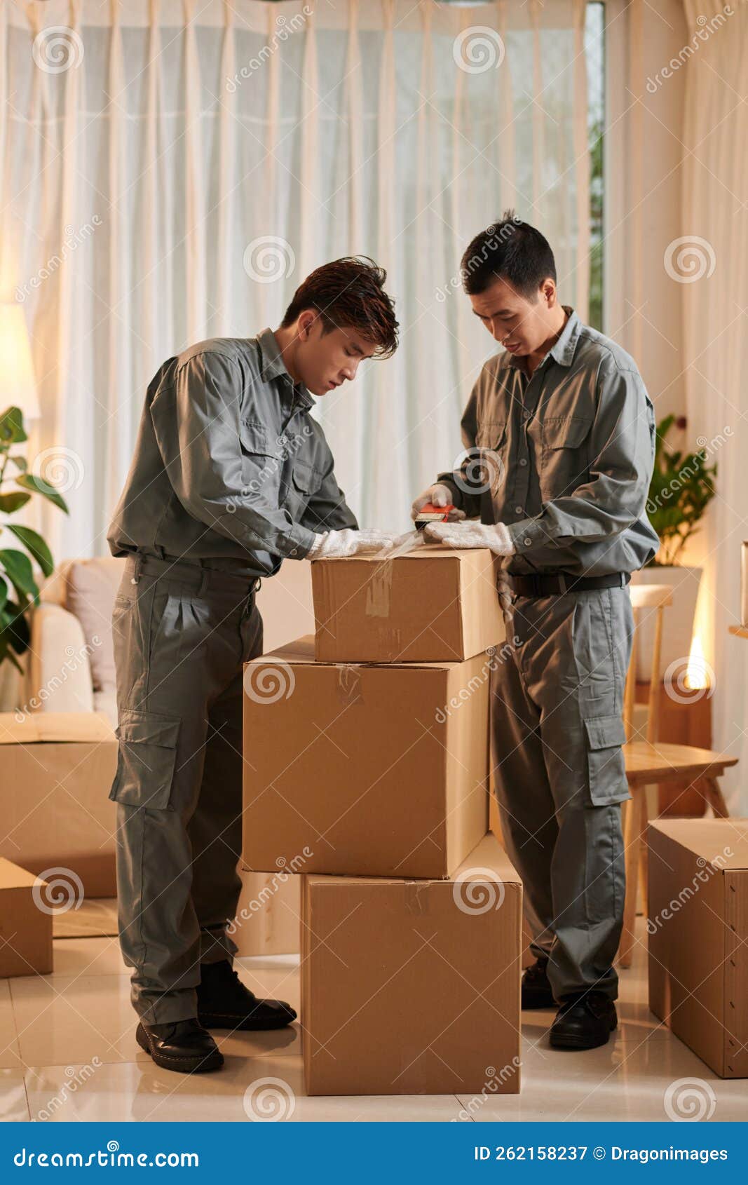 Team of Movers Packing Boxes Stock Image - Image of package, cardboard ...