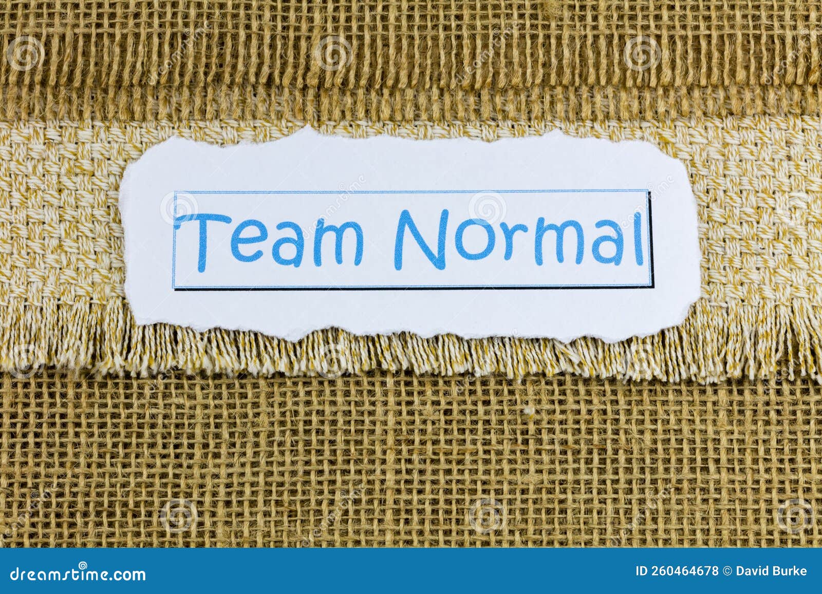 Team Normal New Professional Business People Teamwork Communication ...