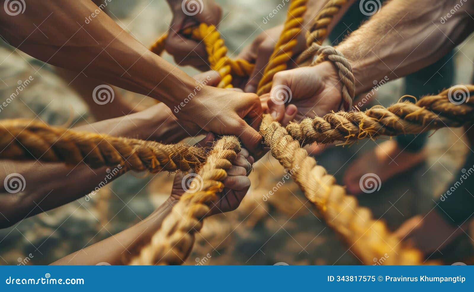 Team Rope Diverse Strength Connect Partnership Together Teamwork Unity ...