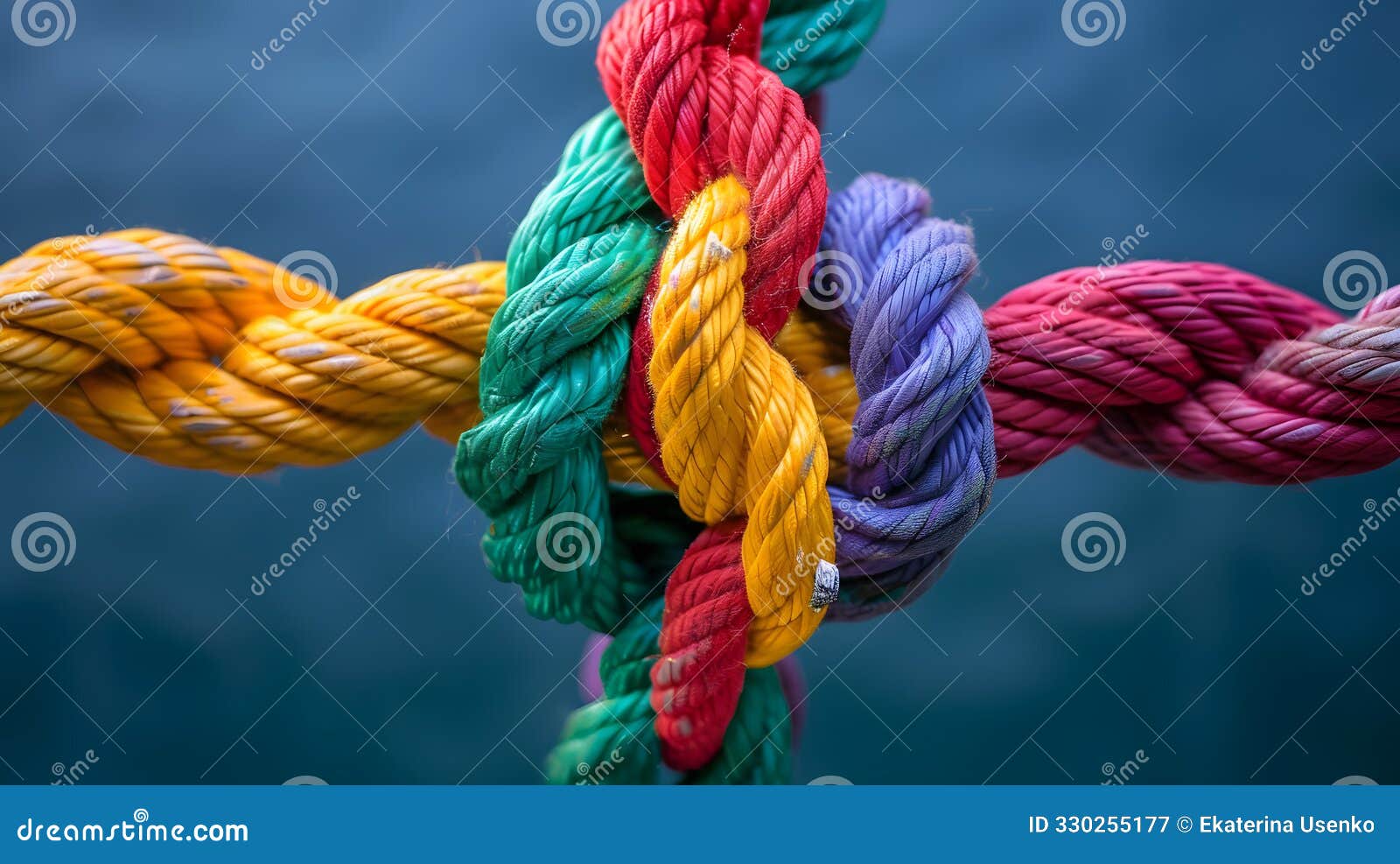 Colorful Knotted Ropes Symbolizing Unity and Teamwork Stock Image ...