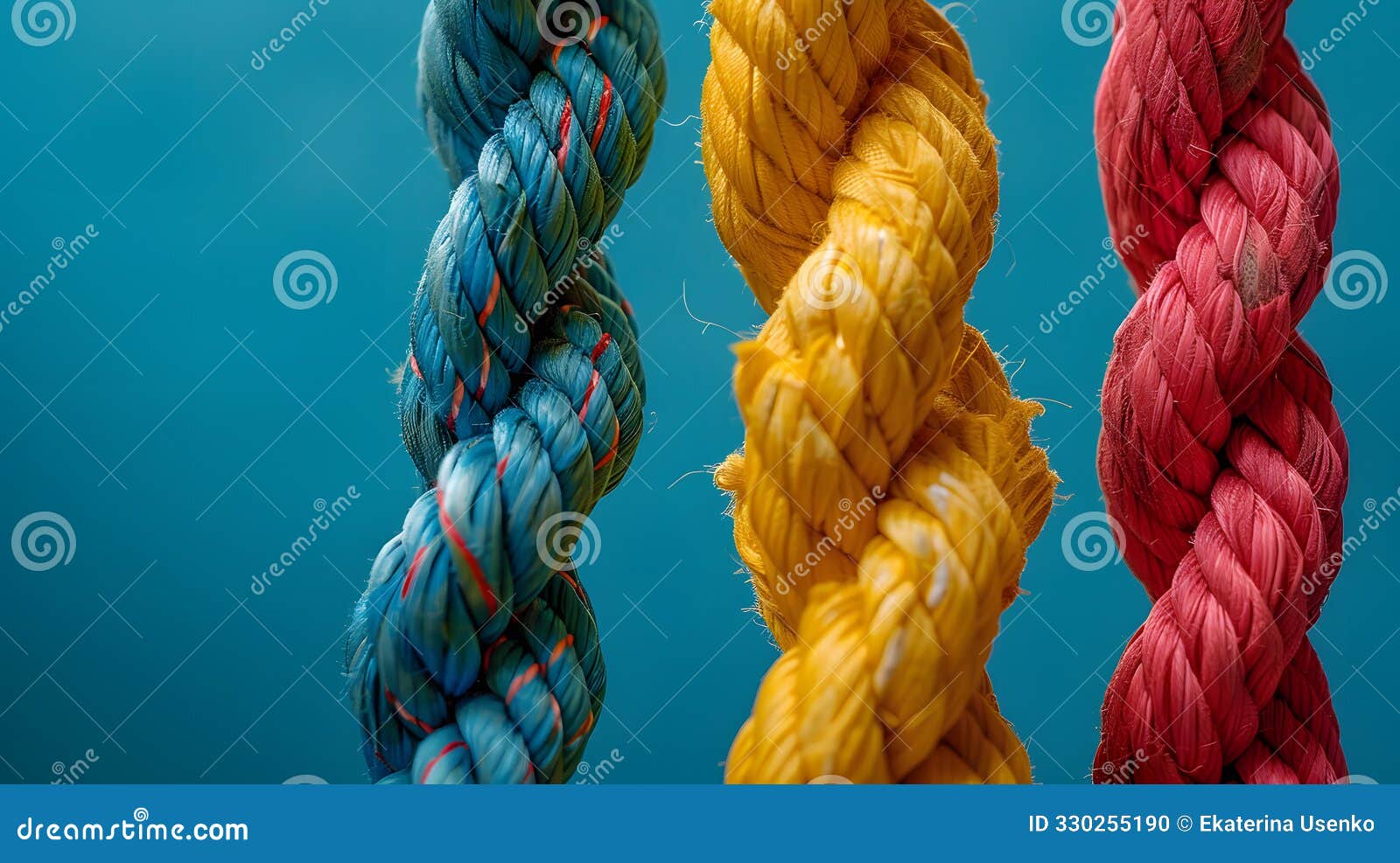 Colorful Knotted Ropes Symbolizing Unity and Teamwork Stock Photo ...