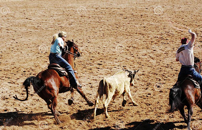 Team Roping stock image. Image of lasso, couple, bareback - 1027357