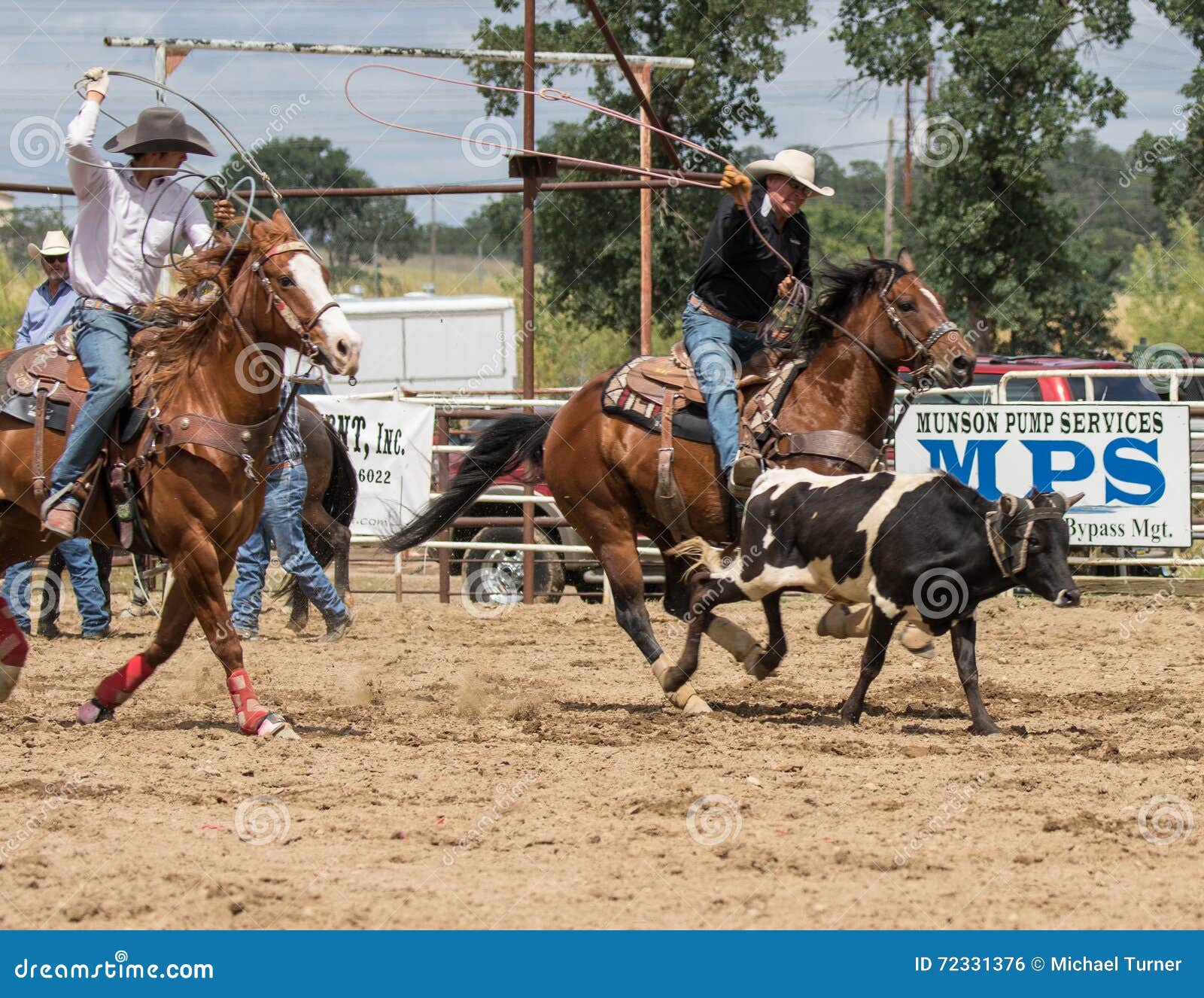Team Roping photo éditorial. Image du loin, entre, down - 72331376