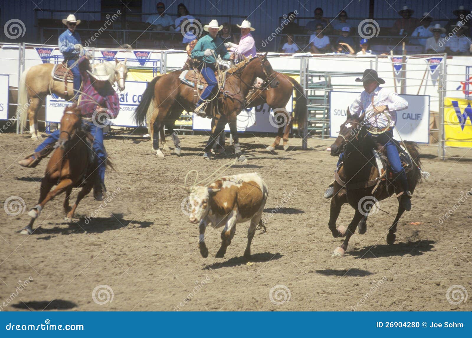 Team roping event editorial image. Image of rope, color - 26904280