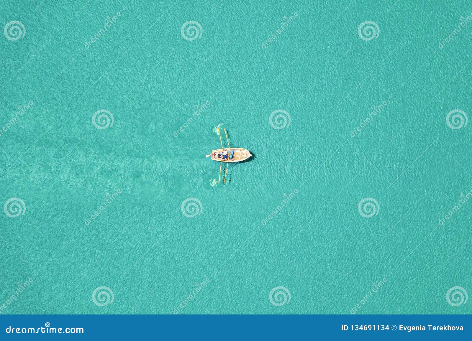 A Team of Rowers in the Boat. the View from the Top Stock Photo - Image ...