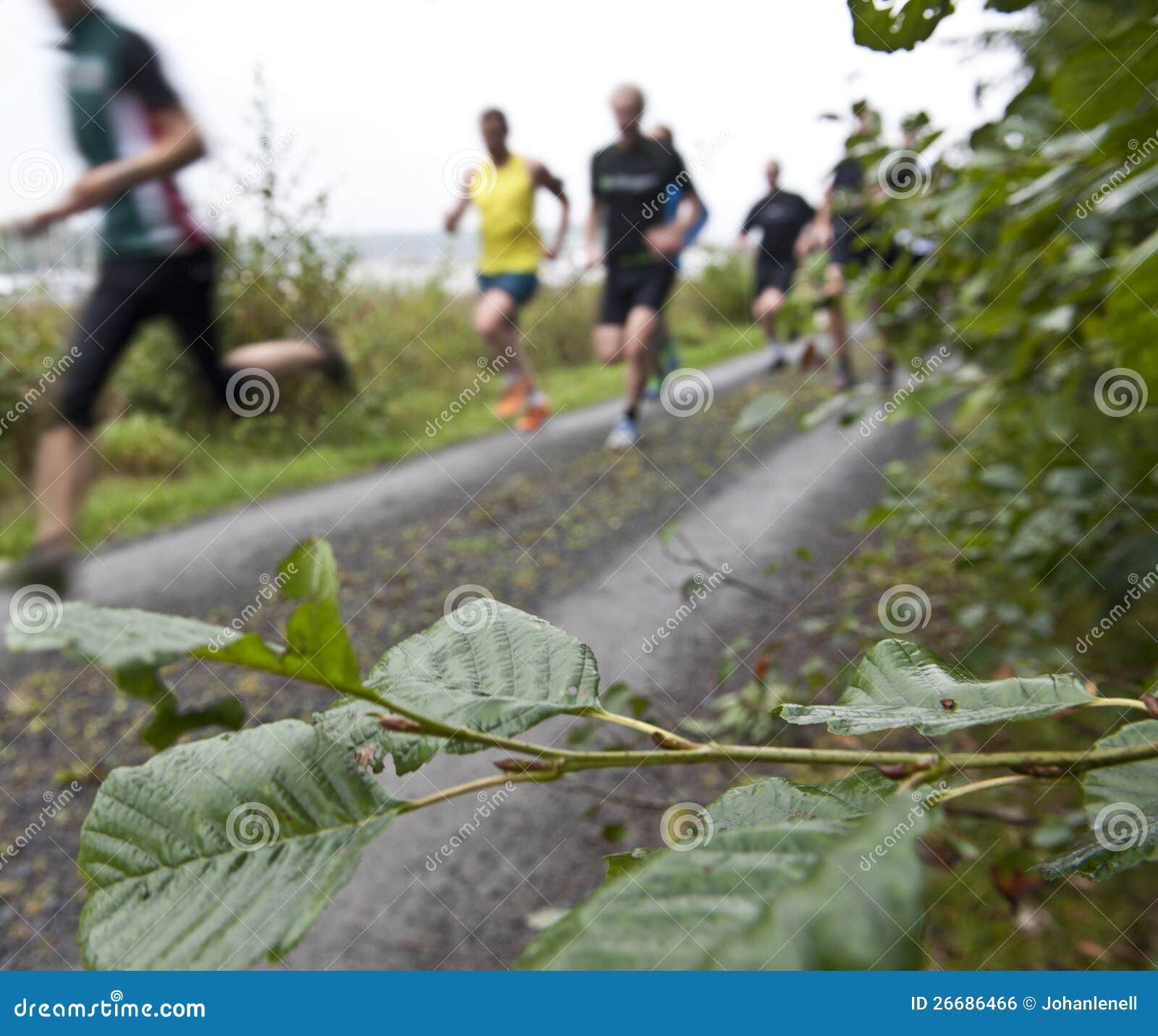 Team running stock photo. Image of active, environment - 26686466